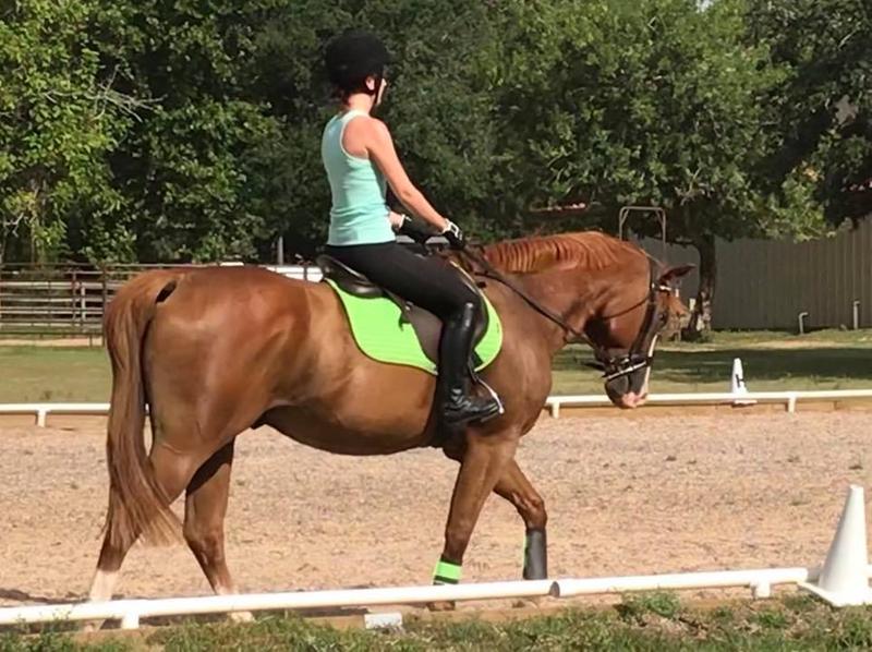 Manna Pro Sho-Glo Supplement for Horses, 5 lbs. | Petco