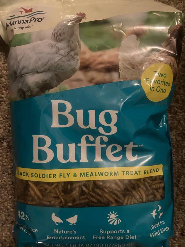 Manna Pro Bug Buffet, 30 oz. | Petco