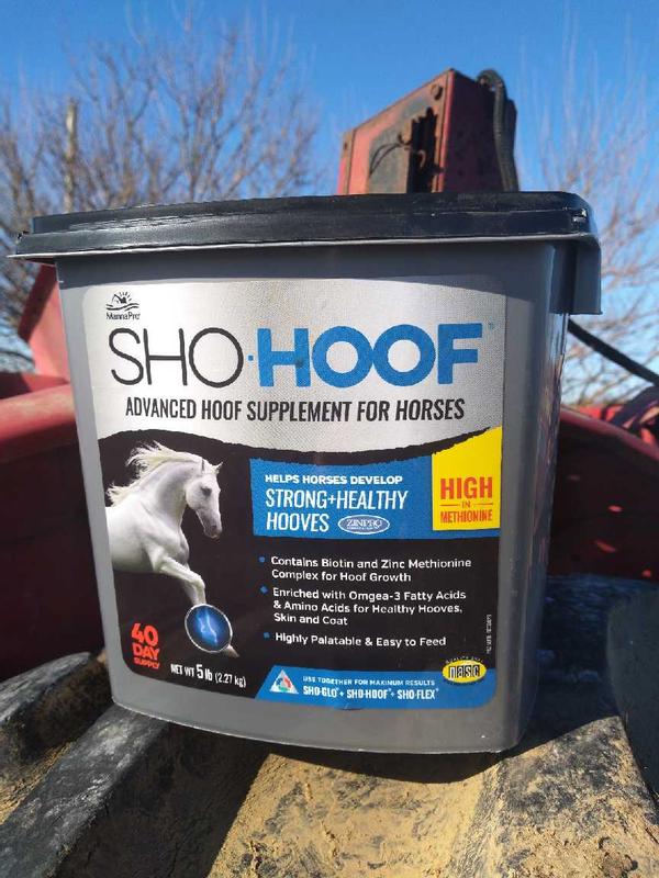 Manna Pro Equine Sho-Hoof Hoof Pelleted Horse Supplement, 5 lb. at ...