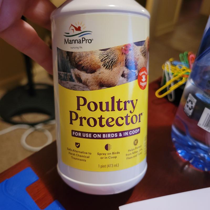 Manna Pro CareFree Enzymes Poultry Protector, 16 fl. oz. | Petco