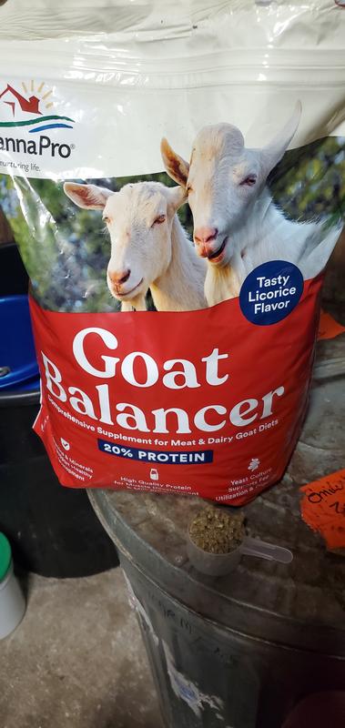 Manna Pro Goat Balancer, 10 lbs. | Petco