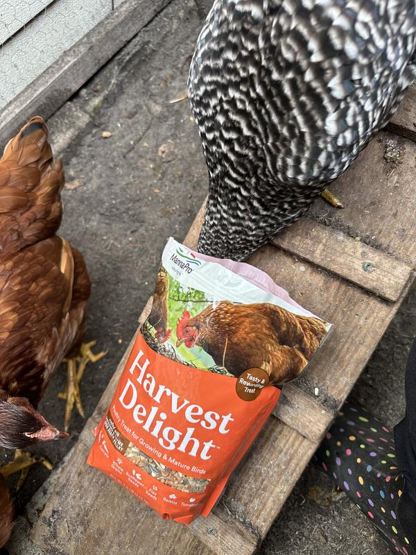 Manna Pro Harvest Delight Chicken Scratch Feed & Treats, 2.5 lbs. | Petco