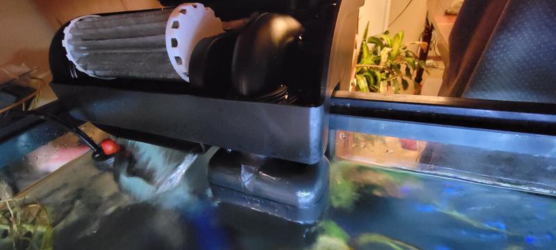 Marineland 175 Penguin PRO Power Filter, Multi-Stage Aquarium ...