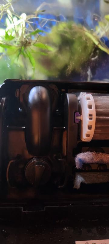 Marineland 125 Penguin PRO Power Filter, Multi-Stage Filtration | Petco