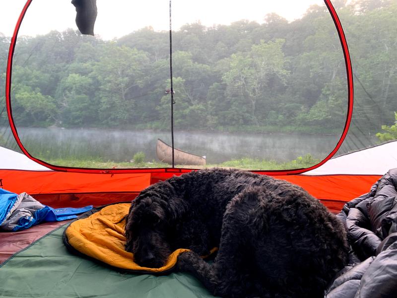 Marmot Limestone Tent: 6-Person 3-Season - Hike & Camp