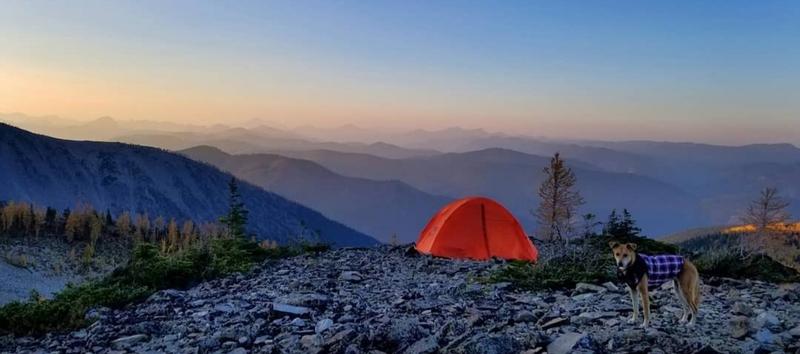Marmot Catalyst Tent: 2-Person 3-Season - Hike & Camp