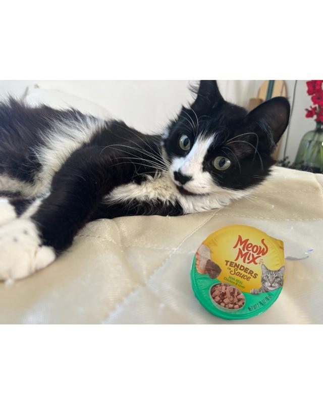 JM Smuckers Adult Variety Pack Food 2927400622 at Lowes.com