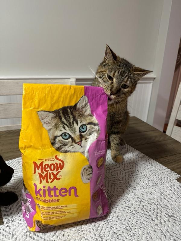 Meow Mix Kitten Li'l Nibbles Dry Food for Healthy Growth & Development