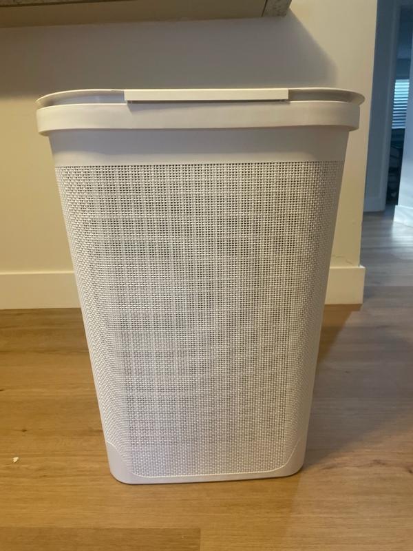 Mind Reader Off-white Plastic Laundry Hamper 60FABHAMP-IVO at Lowes.com