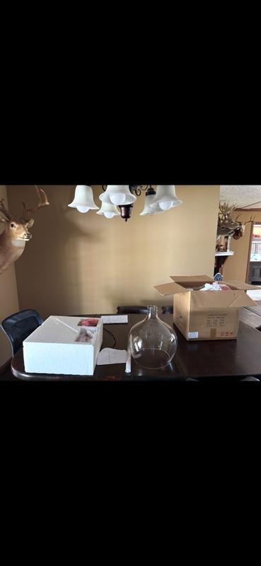 Millennium Lighting 1 -Light Modern Gold Modern/contemporary Clear ...