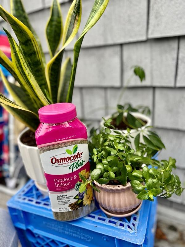 Osmocote Smart-Release Plus Outdoor and Indoor1 2-lb 15-9-12 Shaker ...