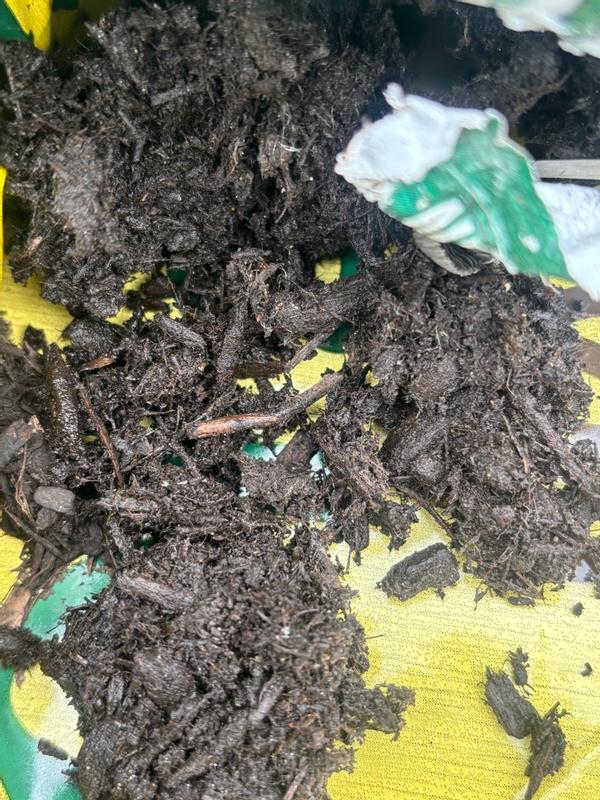 Shop Miracle-Gro Natural Growth, Organic Results: Soil & Mulch ...