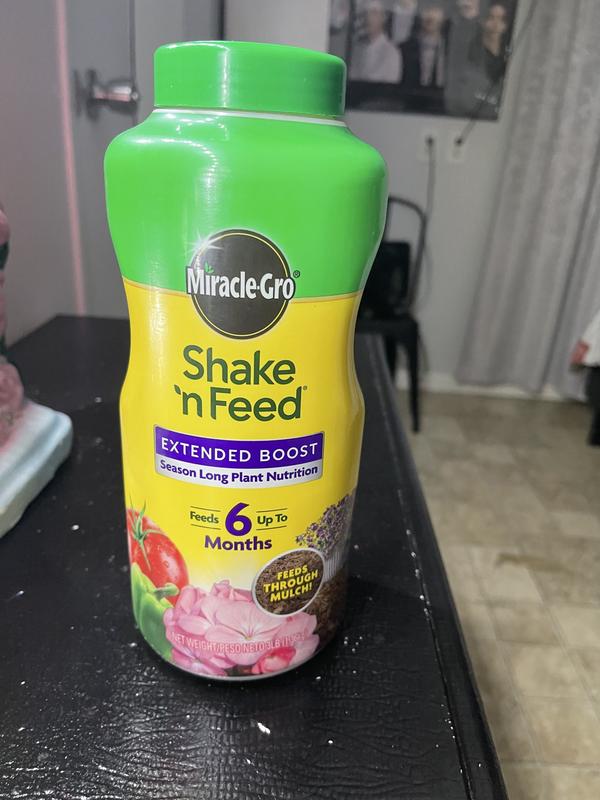 Miracle-Gro Shake 'n Feed Extended Boost 3-lb 15-5-10 Granules All ...