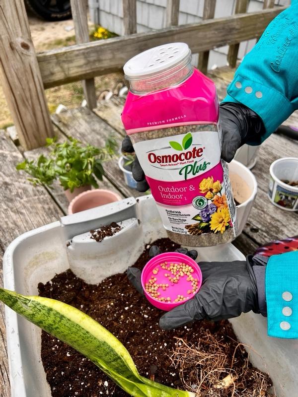 Osmocote Smart-Release Plus Outdoor and Indoor1 2-lb 15-9-12 Shaker ...