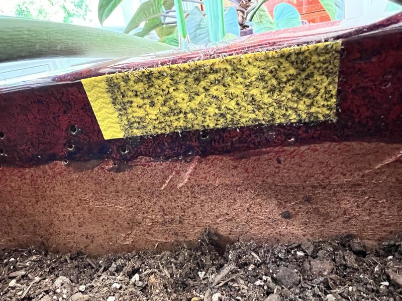 Miracle-Gro Indoor 2-Pack 6-Quart All-purpose Potting Soil Mix VB300517 ...