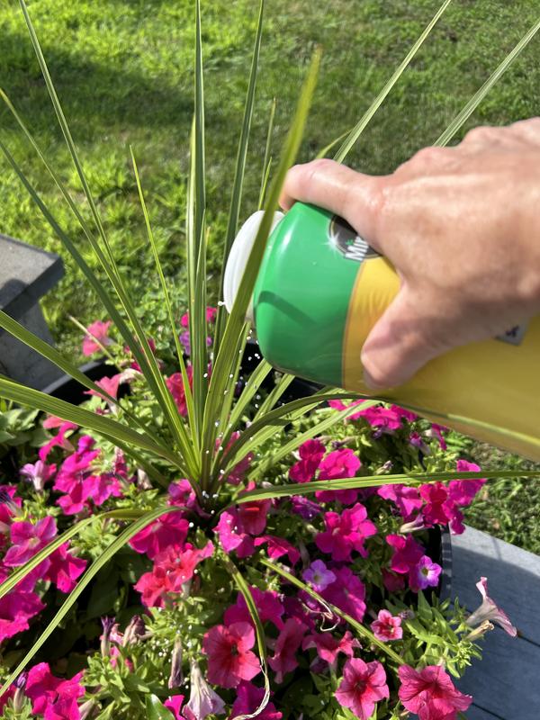 Miracle-Gro Shake 'n Feed Extended Boost 3-lb 15-5-10 Granules All-purpose Food 3020810 at Lowes.com