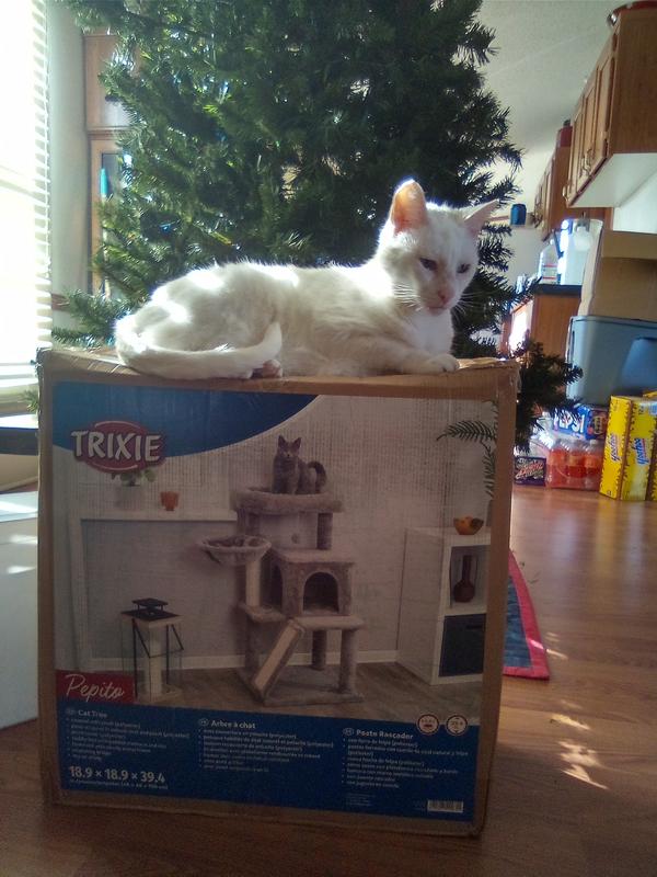 TRIXIE Pepito Cat Tree, Gray - Chewy.com