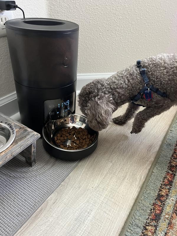 PATPET PF02 Timed Automatic Food Feeder Smart Dispenser for Cats & Dogs ...