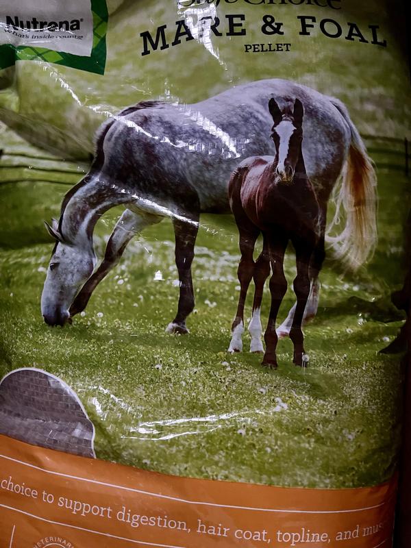 NUTRENA SafeChoice Mare & Foal Pellet Horse Feed, 50-lb bag - Chewy.com