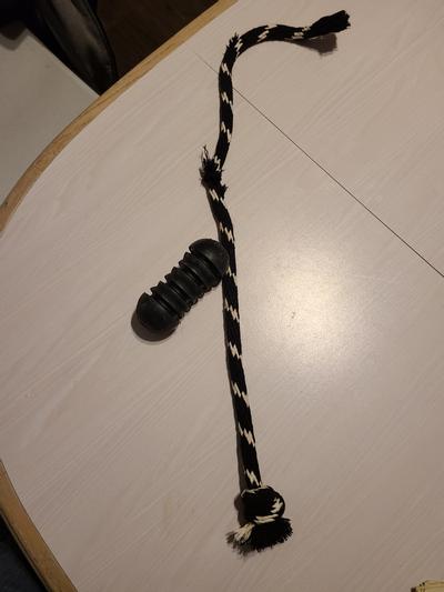 KONG Extreme Dental Dog Chew Toy with Rope, Medium - Chewy.com