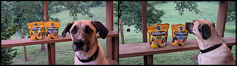 Discontinued - PEDIGREE Canine Cookout Chicken Flavored High-Protein ...