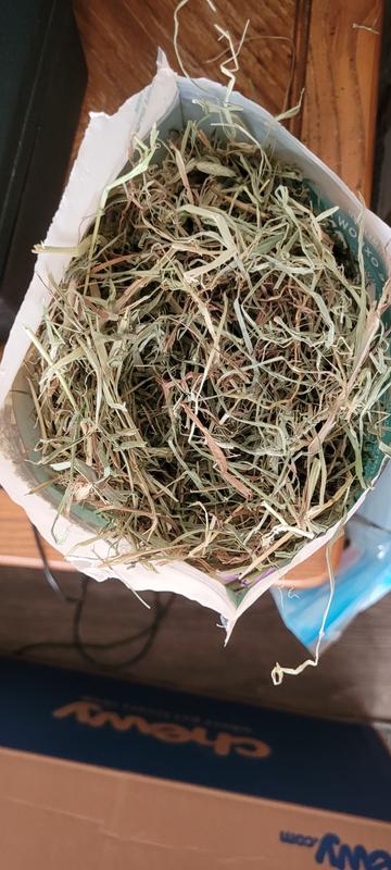 OXBOW Botanical Hay Small Animal Food, 15-oz bag - Chewy.com