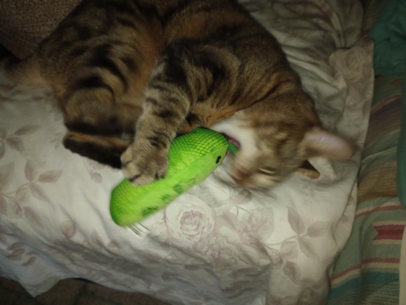 CATSTAGES Crunchy Pickle Kicker Plush Cat Toy with Catnip - Chewy.com