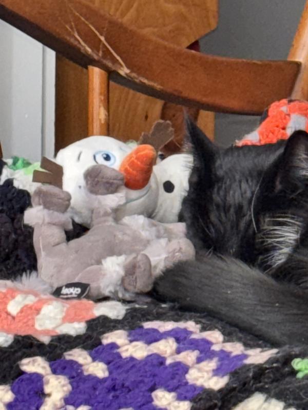 DISNEY Frozen's Olaf & Sven Plush Cat Toy with Catnip, 2 count - Chewy.com