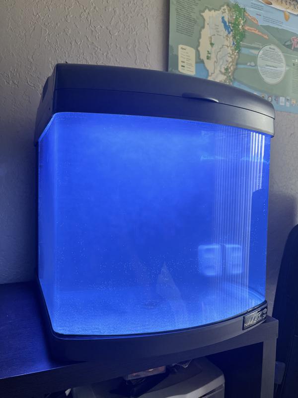 JBJ AQUARIUM Nano-Cube DX LED Curved Glass Fish Aquarium, 24-gal - Chewy.com