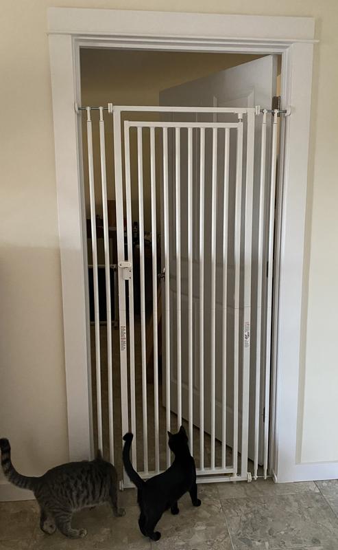 RICHELL Steel Cat Extra Tall Safety Gate, 70-in, Beige - Chewy.com