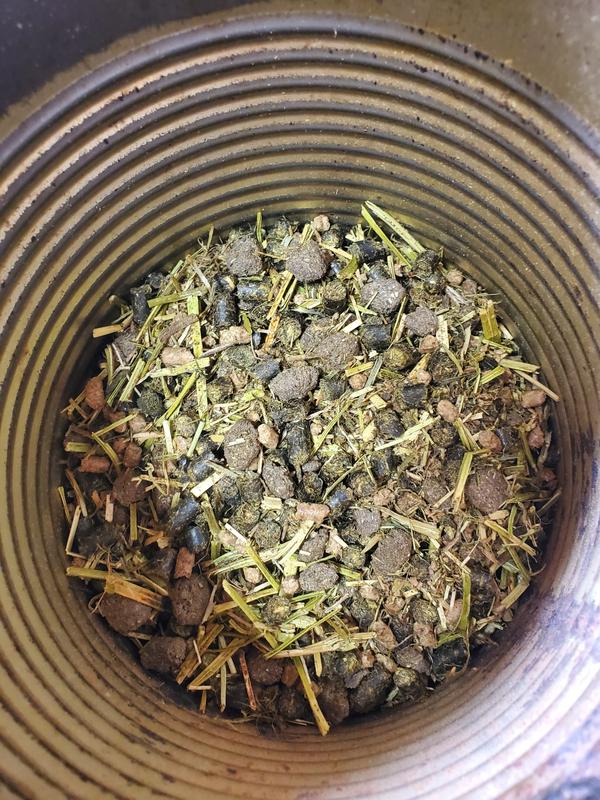 CAVALOR Fiberforce Gastro Horse Food, 33-lb bag - Chewy.com