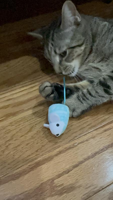 FRISCO Holiday Arctic Blue Mice Plush Cat Toy with Catnip, 5 count ...