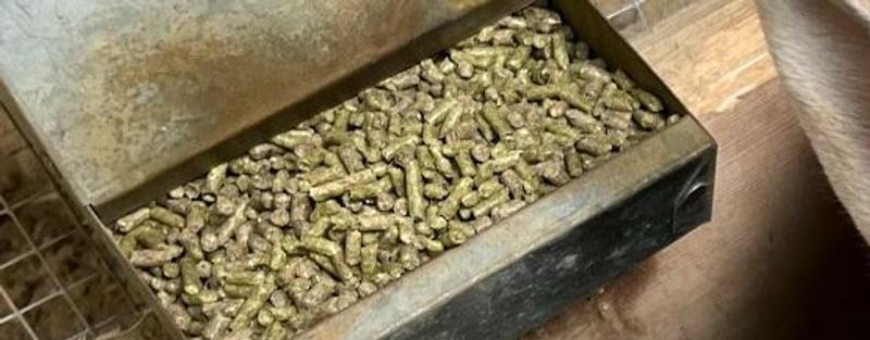 KENT / BLUE SEAL Home Fresh Pro Hutch 16 Pellet Rabbit Food, 25-lb bag ...