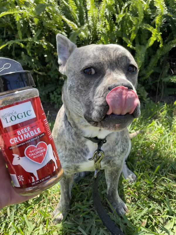 NATURE'S LOGIC Beef Crumble Dry Dog & Cat Food Topper, 8-oz bottle ...
