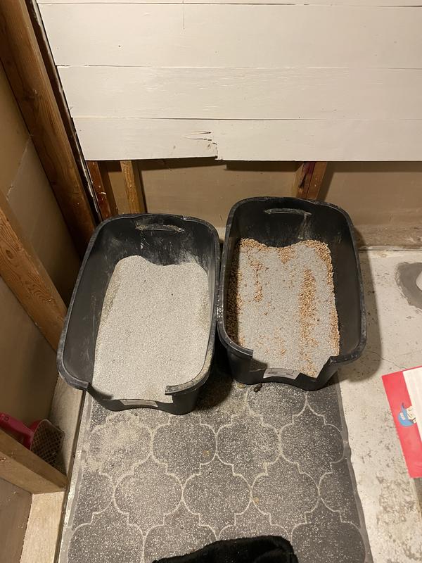 CATALYST PET Pine Pellet Unscented Non-Clumping Wood Cat Litter, 20-lb ...