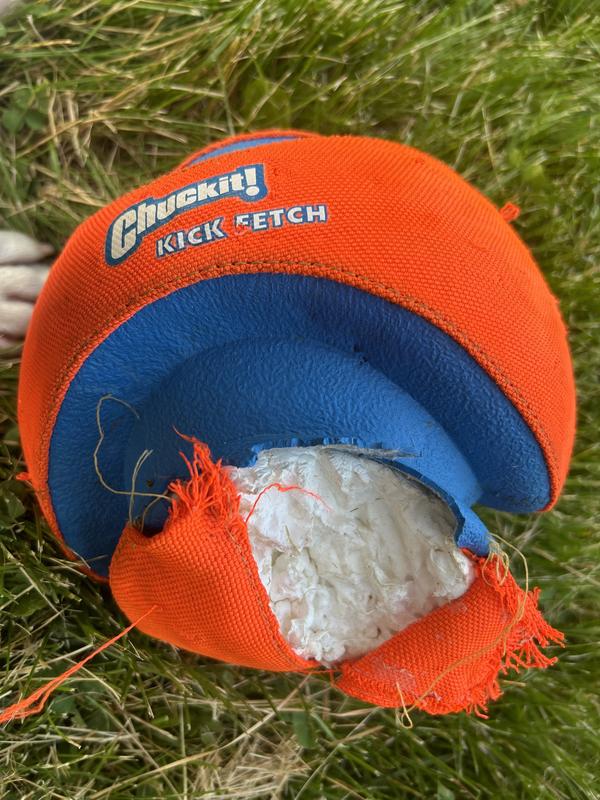 CHUCKIT! Kick Fetch Ball Dog Toy, Small - Chewy.com