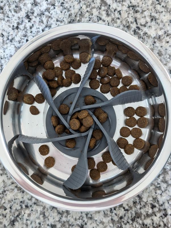 FRISCO Slow Feeder Insert - Chewy.com