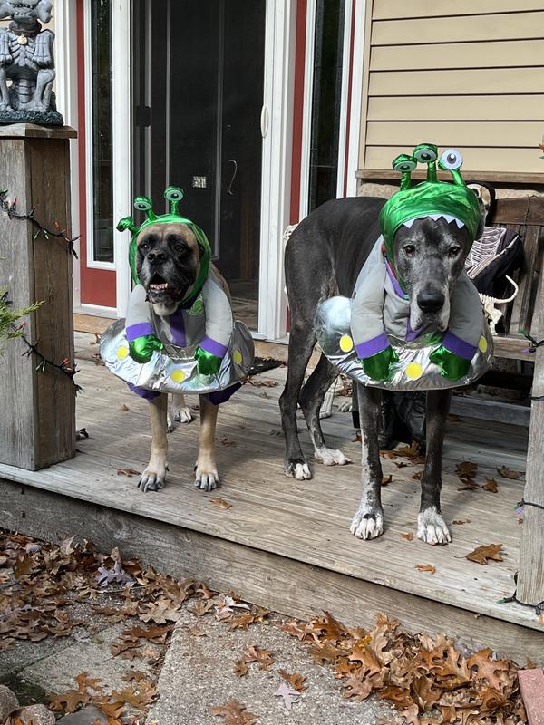 FRISCO Front Walking Alien Dog & Cat Costume, Small - Chewy.com