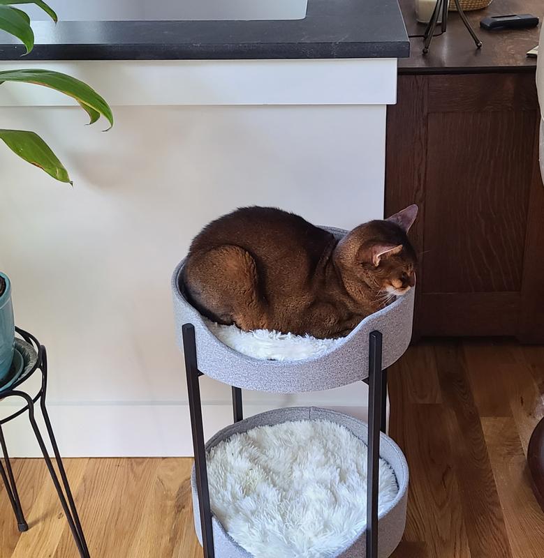 FRISCO Modern Elevated Wrought Iron Cat Bed with Eyelash Cushion, One ...