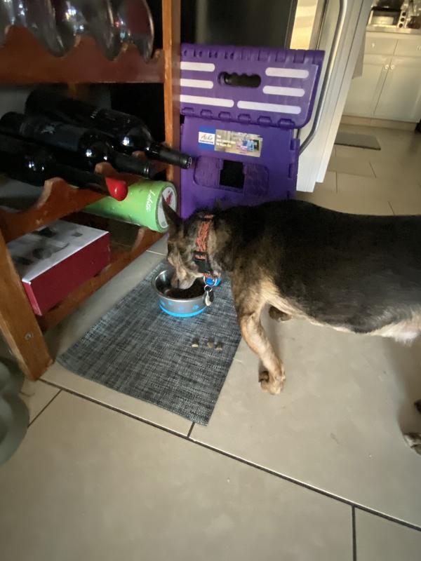 NOM NOM Freshly-Made Frozen Grain-Free Pork Potluck Dog Food, 14-oz ...