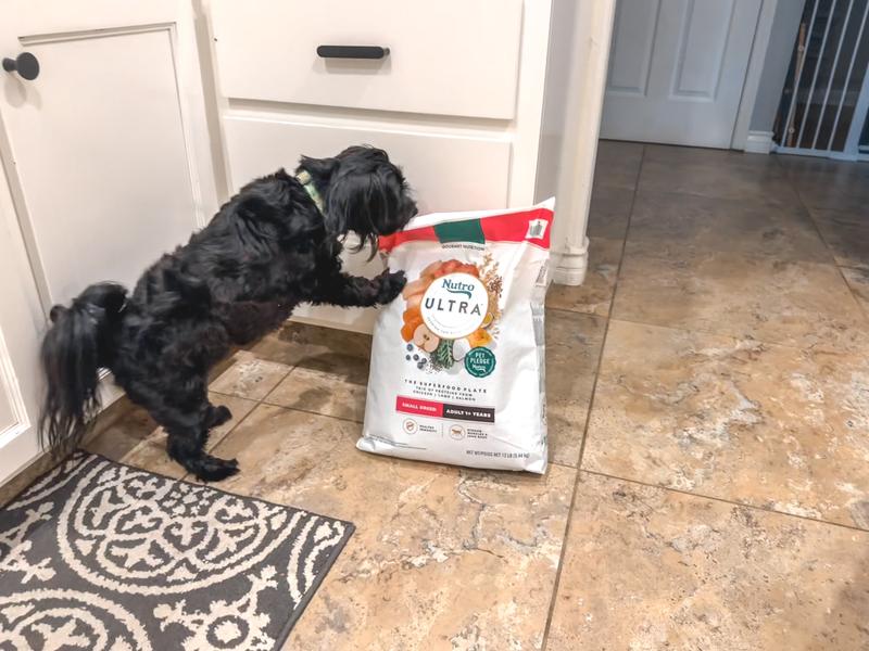 NUTRO Ultra Adult Small Breed Trio of Proteins High Protein Chicken ...