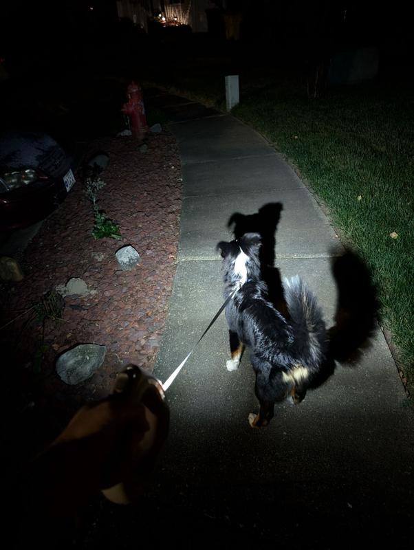 GROOVYPETS LED Flashlight Wearable Hand-Free Retractable Dog Leash, 10 ...