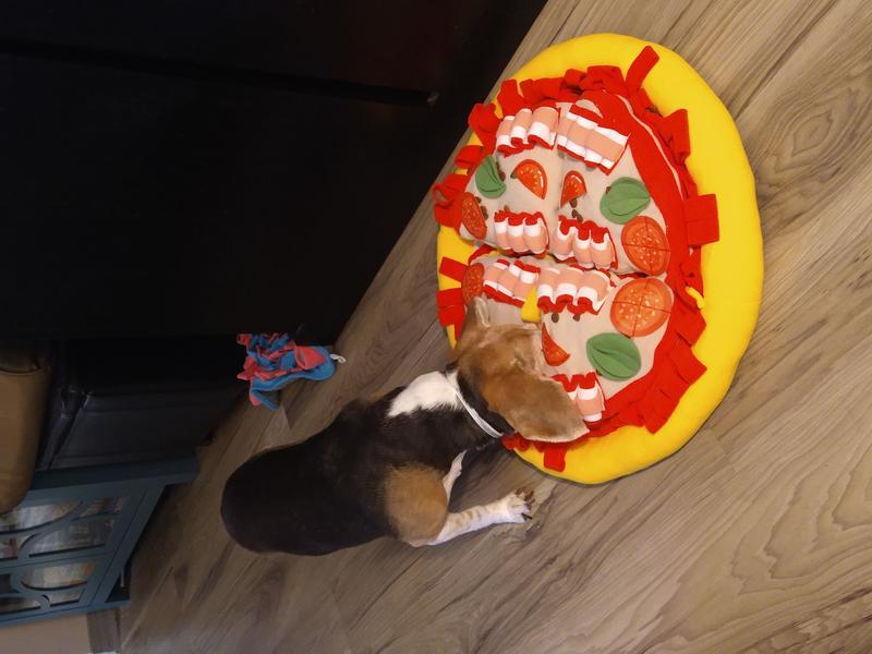 FRISCO Pizza Snuffle Mat, Yellow, Medium - Chewy.com