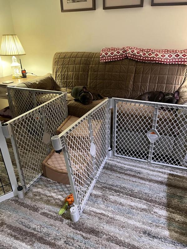 MYPET Plastic Two-Panel Pet Yard Extension - Chewy.com