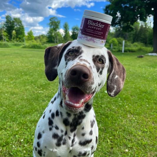 FERA PET ORGANICS Bladder Support Chicken Flavor Dog & Cat Supplement ...