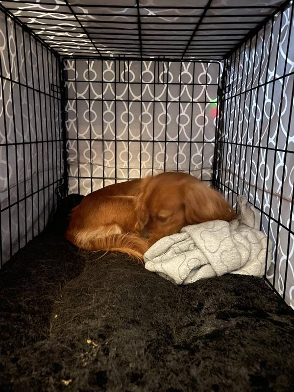 ETHICAL PET Snuggler Patterned Dog Blanket, Gray, 60-in - Chewy.com