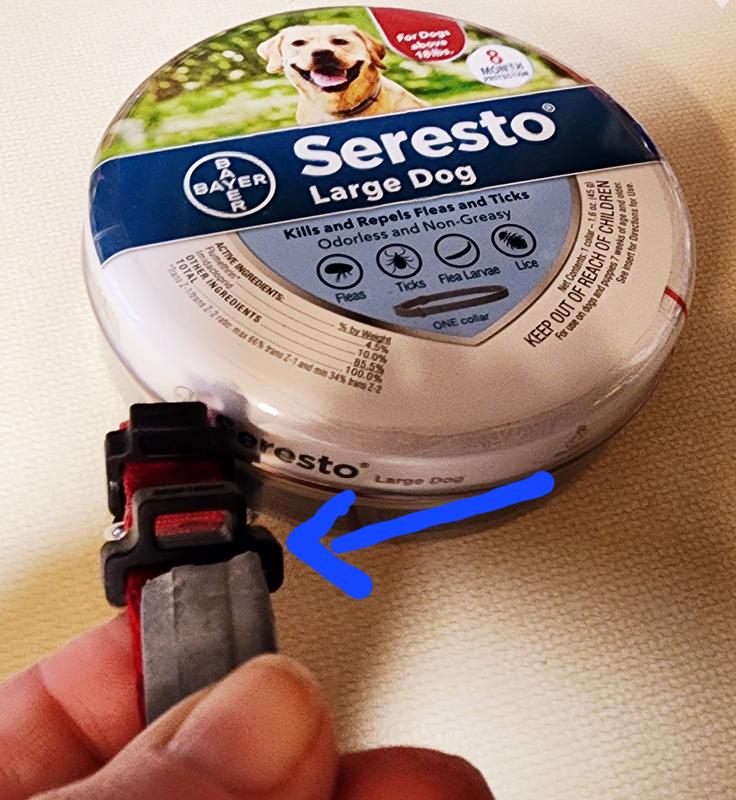 SECUREAWAY Dog Flea Collar Protector, Blue Paws, X-Small: 8 to 12-in ...