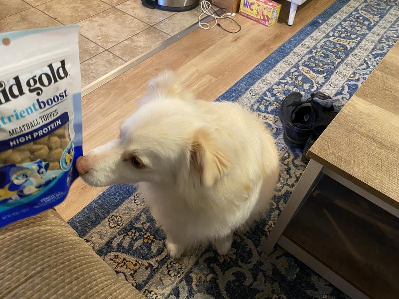 Out of Stock - SOLID GOLD Chicken Flavor Gut Health High-Protein Dry ...