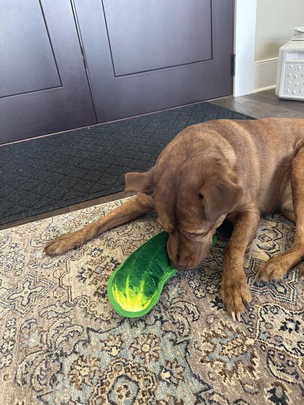 DOGGIJUANA Tuffer Chewer Refillable Juananip Dill Pickle Tough Squeaky ...