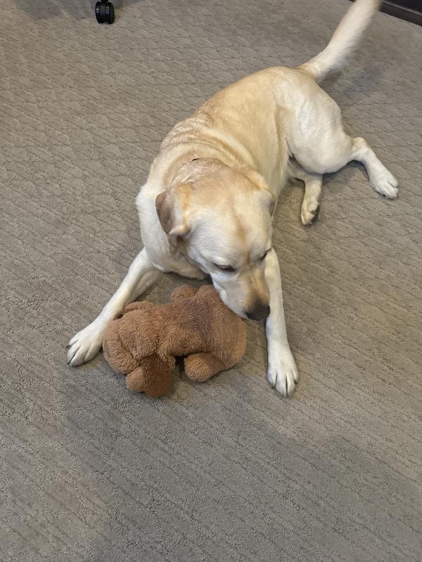 SNUGGLE PUPPY Original Snuggle Puppy Plush Dog Behavioral Aid Anxiety ...